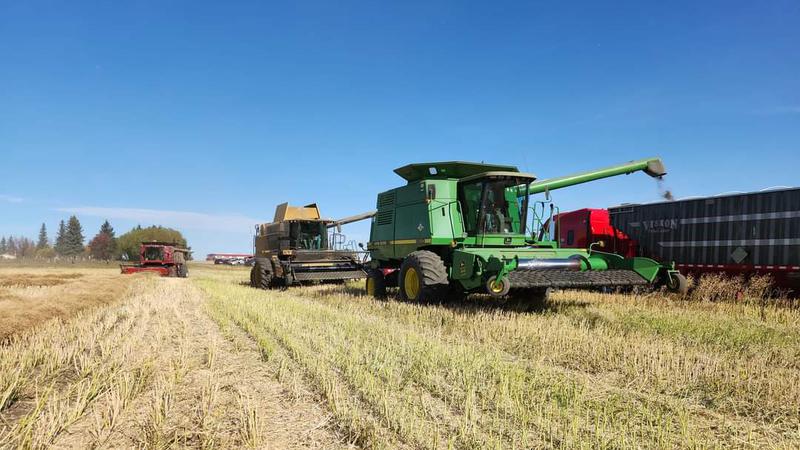 Central Alberta Foodgrains Growing Project raises over $80,000 ...