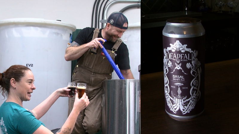 From home brews to the Canada Beer Cup: The success story of Deadfall ...