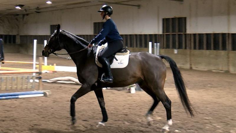 15-year-old wins horse jumping championships on national level | CKPG Today