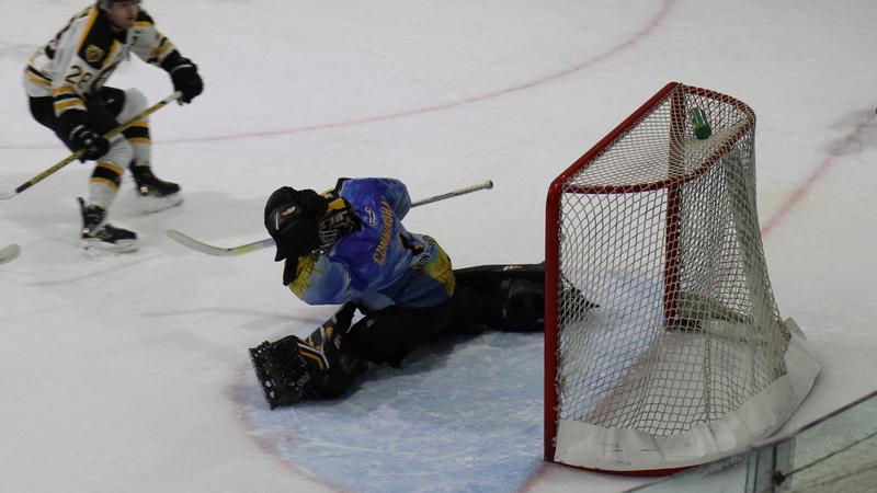 Bruins double Hawks on Teddy Bear Toss night | saskNOW | Saskatchewan ...