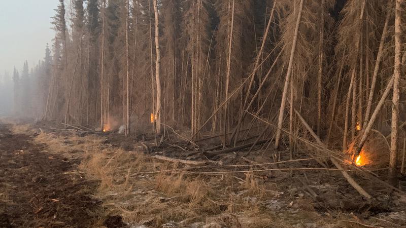 Fire Restriction in place for MD of Peace | EverythingGP