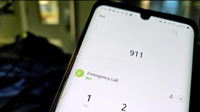 Drake, burgers and potholes among the nuisance calls received by B.C ...