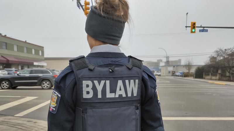 Bylaw amendments to bring annexed RDNO properties under Vernon’s ...