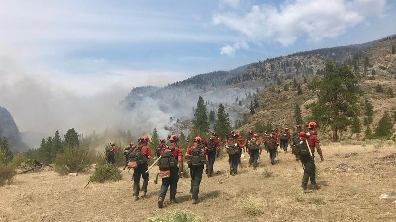 Wildland firefighter hiring process enhanced ahead of new season | 104. ...