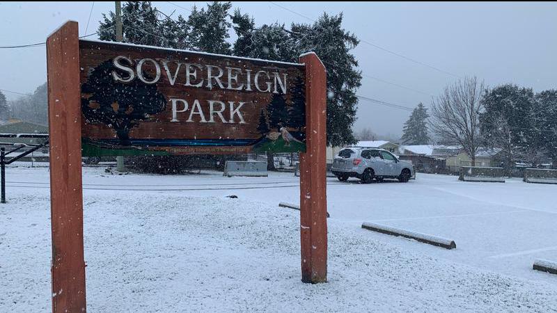 District looks at adding more trees in parks | Vernon Matters