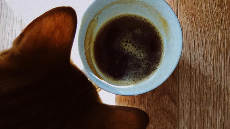 Top 5 things to do at the Medicine Hat Public Library in February ...