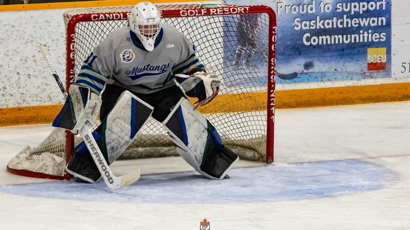 Mustangs’ Venne named SJ Goalie of the Month | northeastNOW