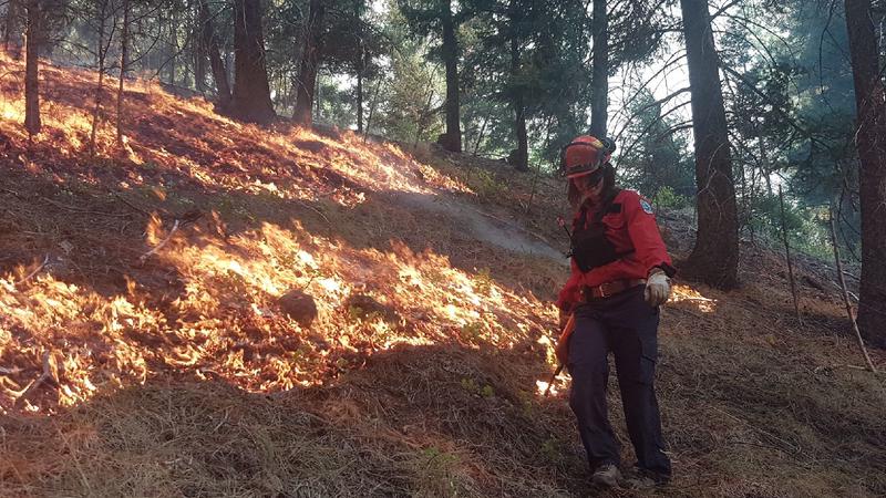 Controlled burn set for early March | Vernon Matters