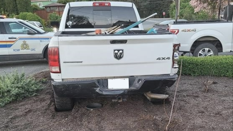Drunk driver nabbed after driving Ram truck backwards at high rate of ...