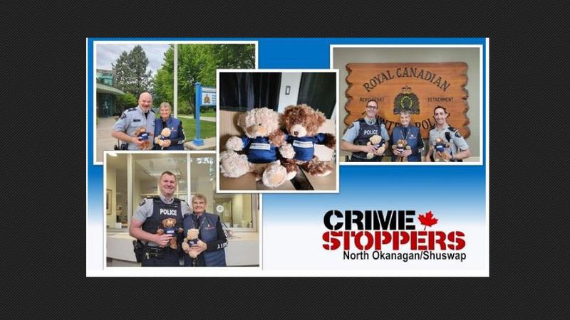 Crimestoppers provides ‘Trauma Bears’ to support children | Vernon Matters