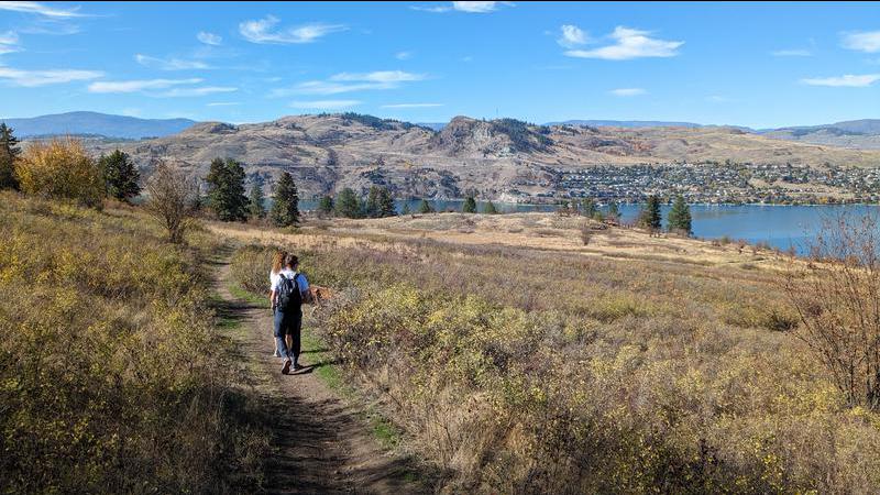 Invasive species education event planned for Kal Park | northeastNOW