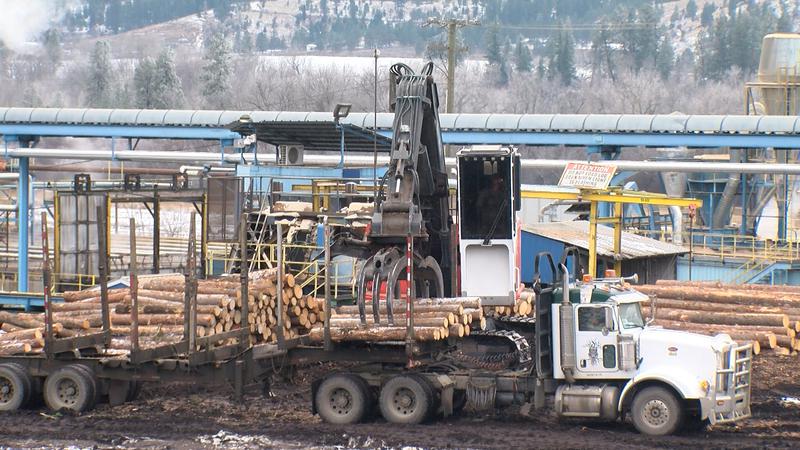 Forest critic Stamer calls for tax on thermal coal in response to ...