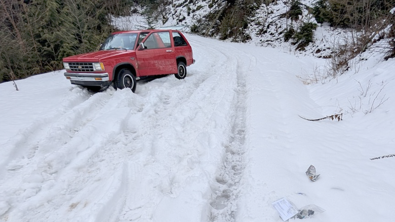 Car thieves, including prolific offender, get stuck in Sumas Mountain ...