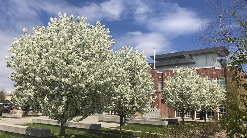 Spring has officially sprung | EverythingGP