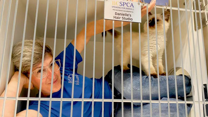‘It went amazing:’ Nanaimo SPCA surpasses fundraising goal for Lock-in for Love event ...
