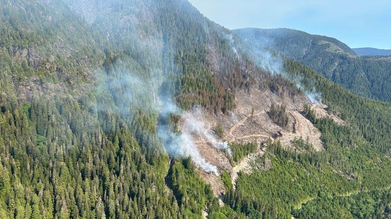 ‘Our first lightning caused fire:’ brief, intense storm brought dozens ...