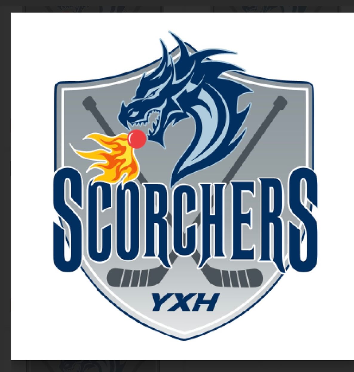 Gas City Ball Hockey League hosting provincials with season wrapped up ...