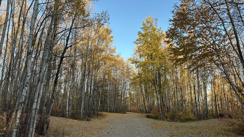 Second warmest October for La Ronge | larongeNOW