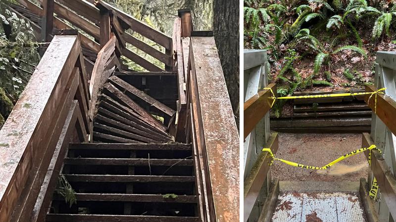 Storms damage section of Nanaimo’s Ammonite Falls Regional Trail ...