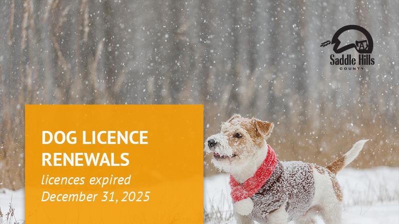 Pet licenses for Hamlet of Woking to be renewed | EverythingGP