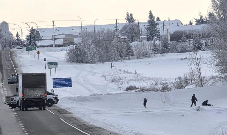 Two arrested after armed robbery in Debden and flight from police ...