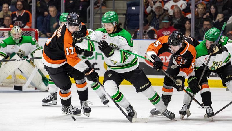 Medicine Hat Tigers 19-game win streak snapped in 8-5 loss to the ...